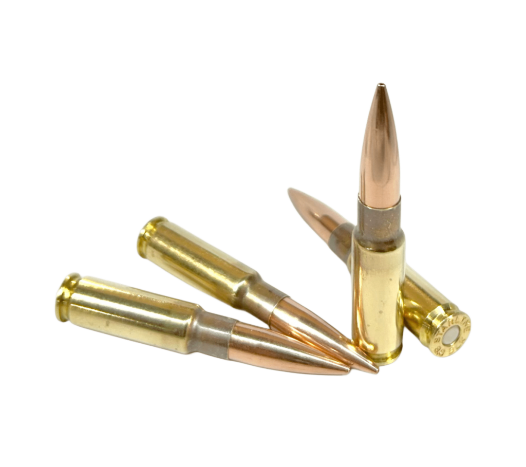 8.6 Blackout 300gr Subsonic Ammo – Bolt Suppressed | Steinel