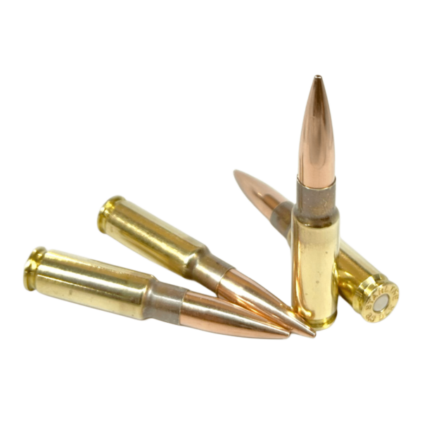 45-70 Gov't 730gr. Hard Cast WFN Subsonic Ammo | Steinel